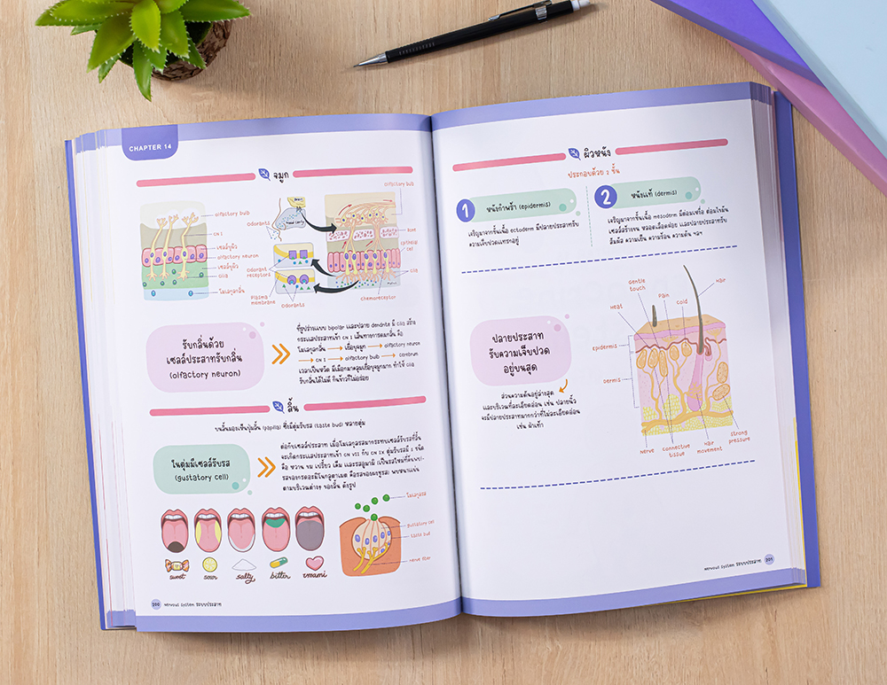 หนังสือคู่มือภาพชีววิทยา Visual Guide To Biology - Pantip