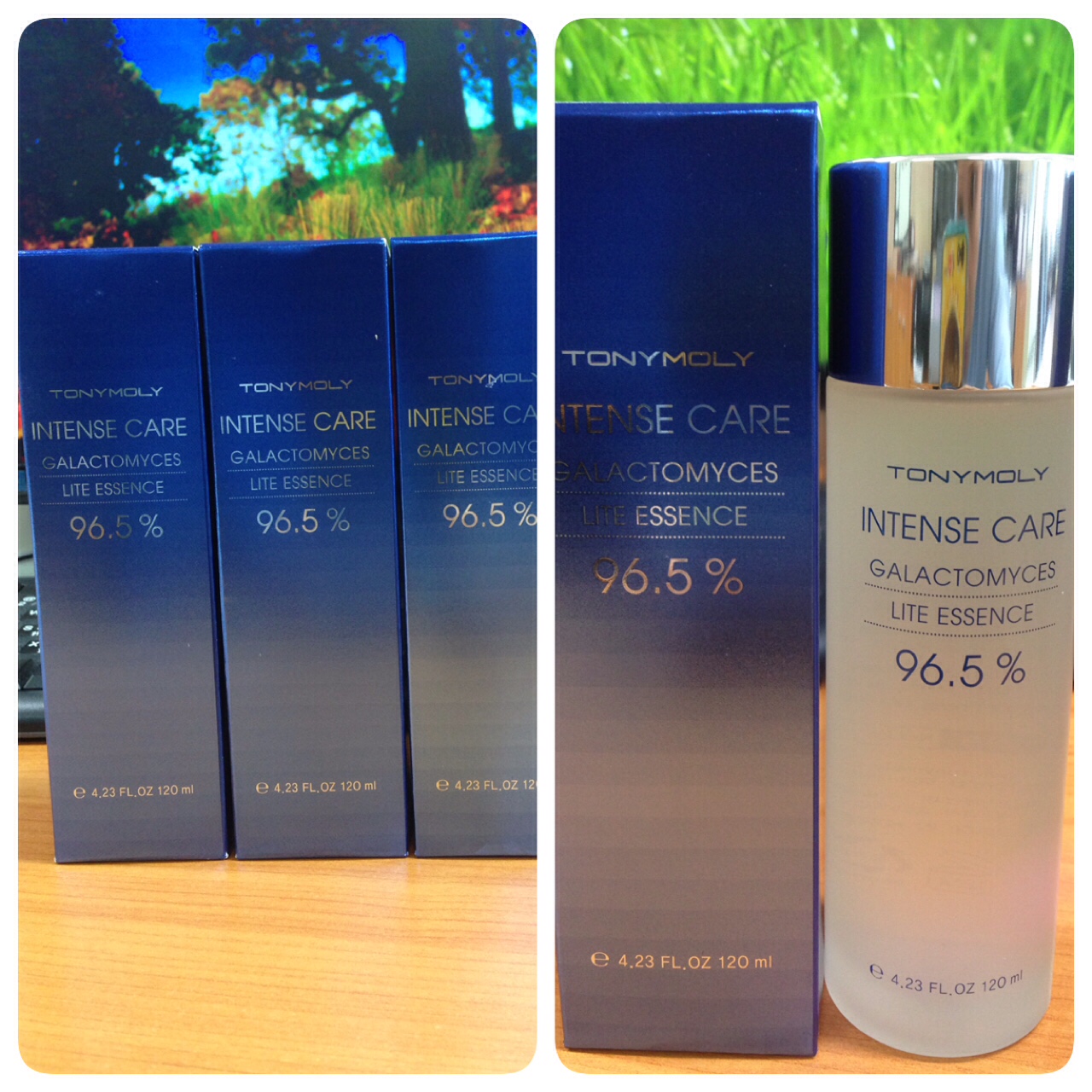 พร้อมส่ง Tony Moly Intens Care Galactomyces lite essence 96.5% 120 ml ...