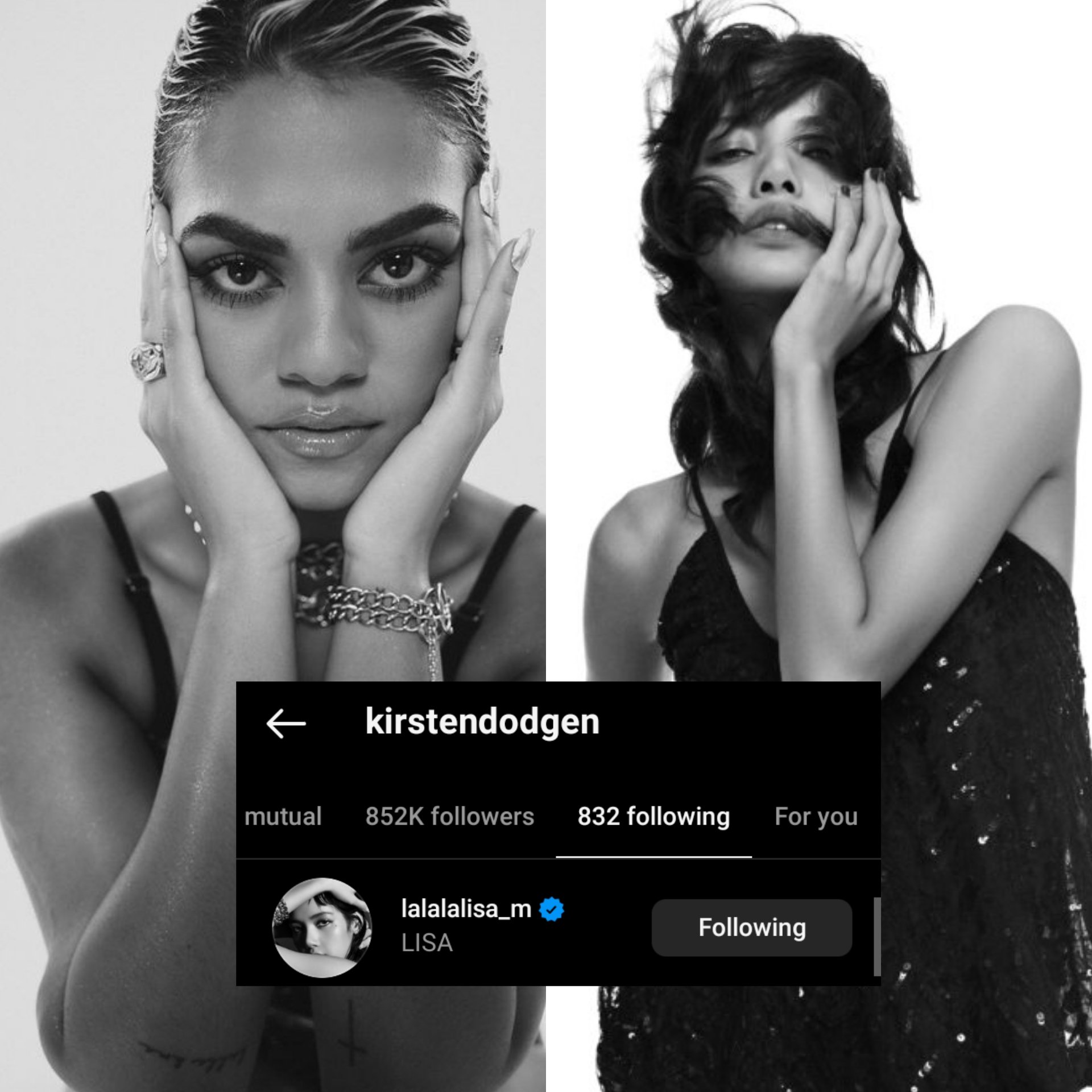Lisa Boots's Instagram, Twitter & Facebook on IDCrawl